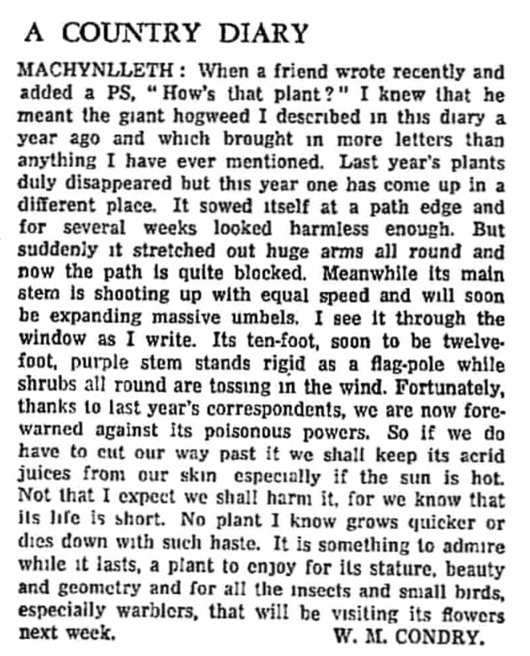 July 15th 1972 – Giant Hogwood, Terrible Triffids & Genesis – The Almanac Of The Fantastical